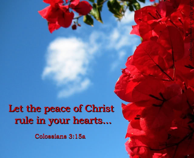 There’s No Peace On Earth – There Is Peace In Christ – Absolute Truth ...